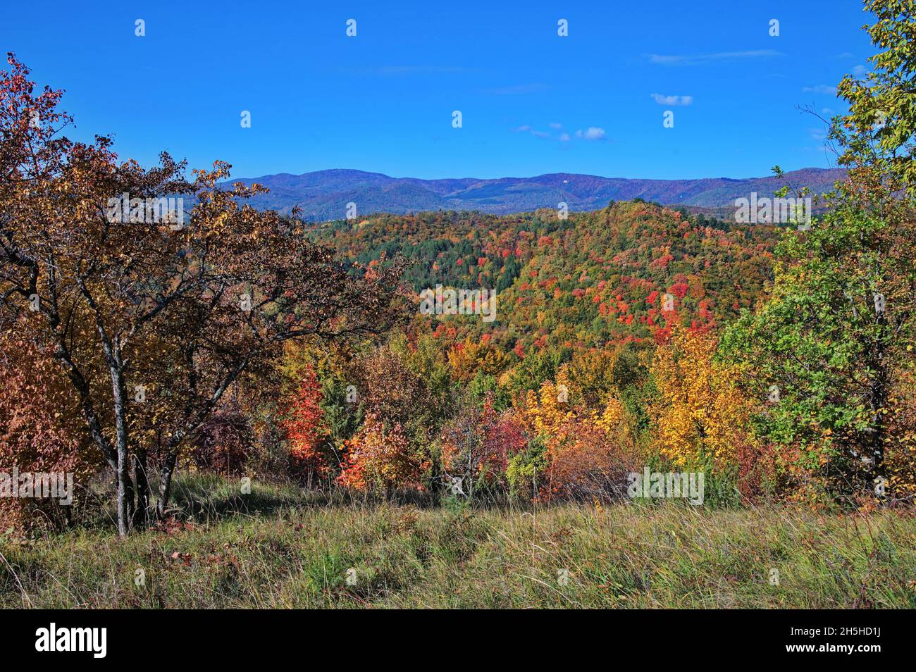 Change the colors hi-res stock photography and images - Alamy