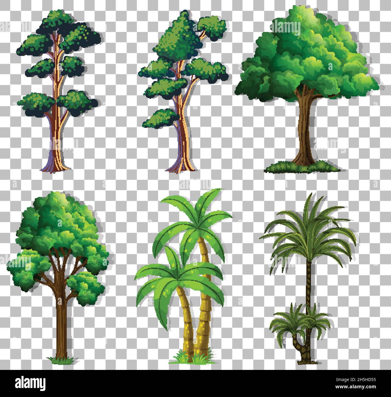 Set of variety trees on transparent background illustration Stock ...