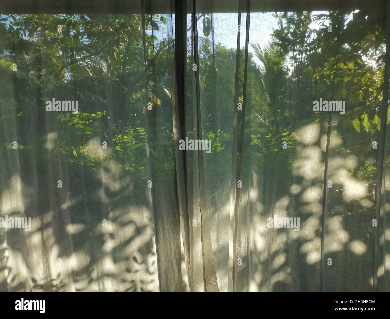 Shadow on white curtain hi-res stock photography and images - Alamy