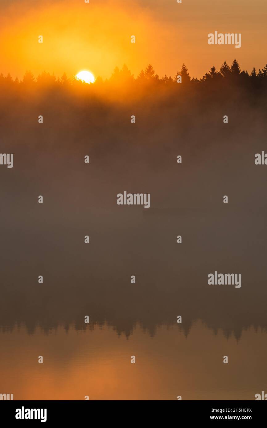 Sun above treetops hi-res stock photography and images - Alamy