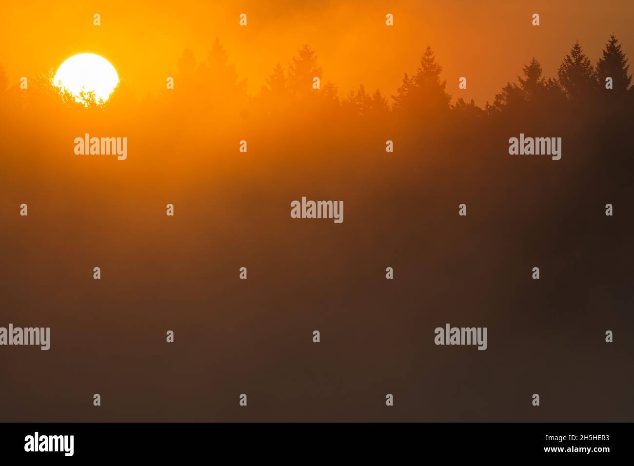 Sun above treetops hi-res stock photography and images - Alamy