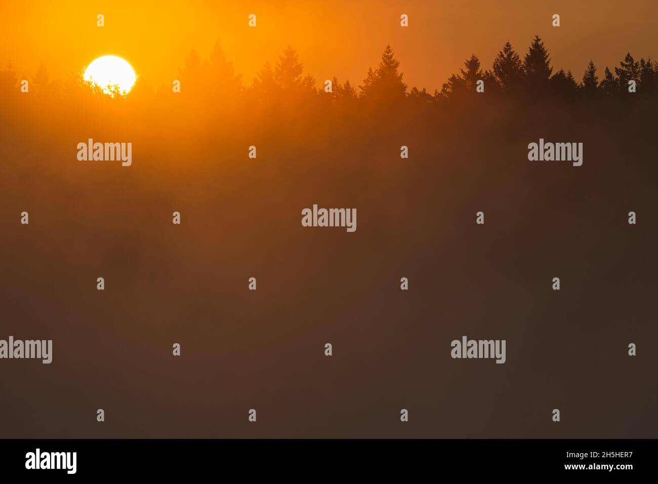 Rising above cloud forest hi-res stock photography and images - Alamy