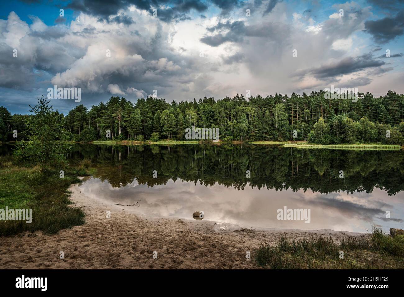Lake with water reflection, Fassberg, Southern Heath, Lueneburg Heath ...