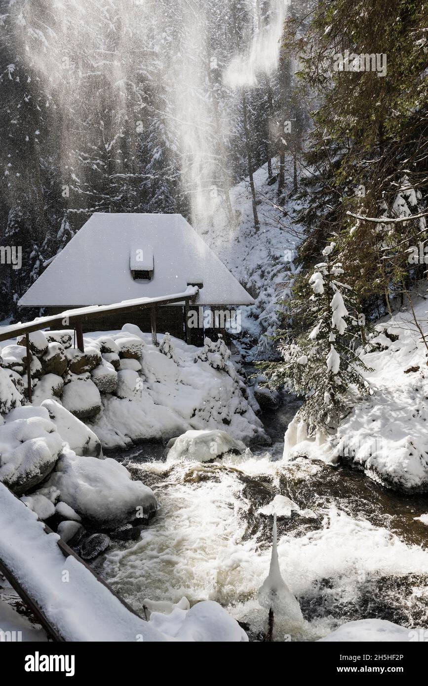 Mountain stream and mill with snow and ice, Ravennaschlucht, winter ...