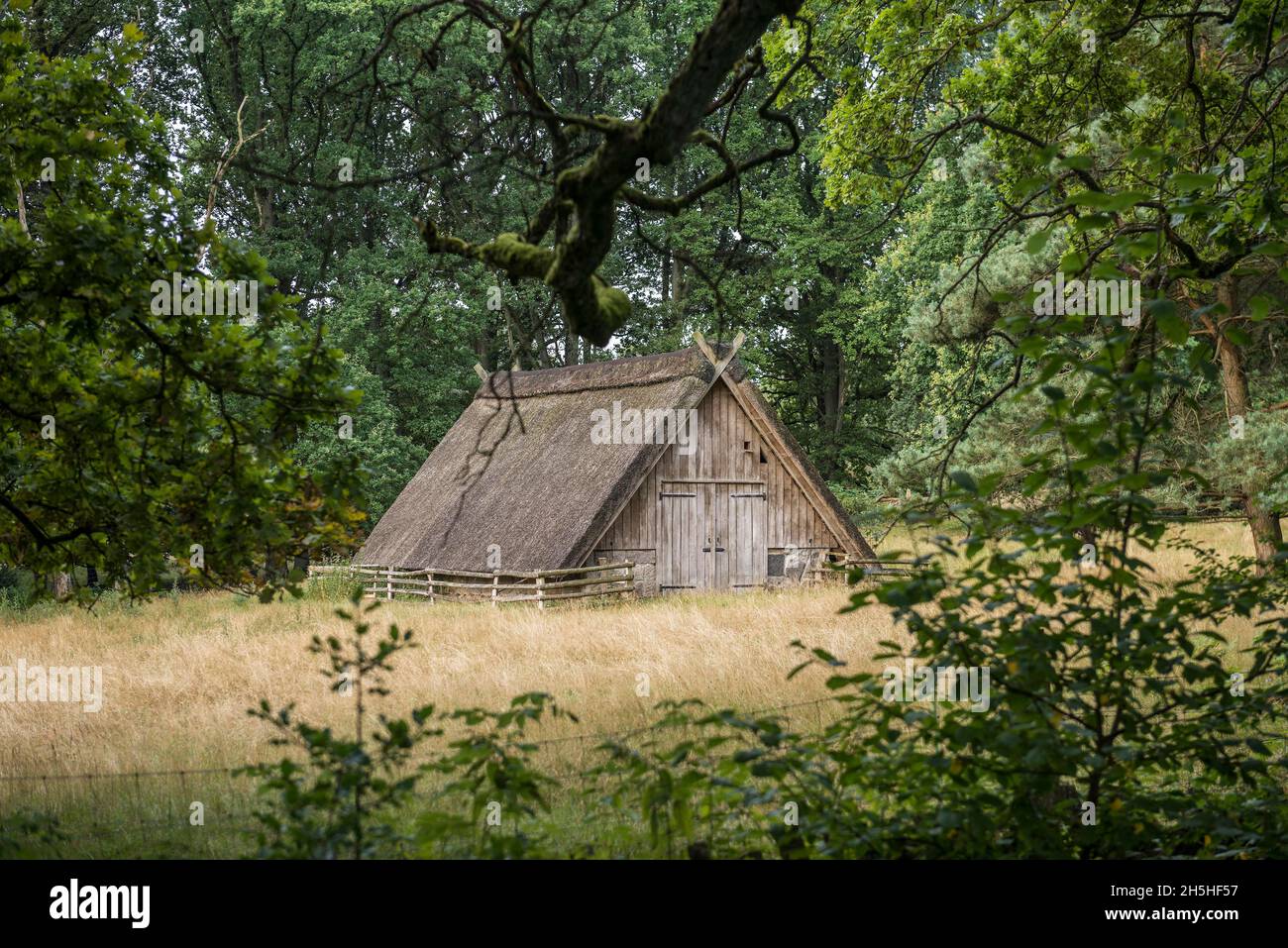 Thatched sheep barn, Wilsede, Lueneburg Heath nature Park, Lower Saxony ...