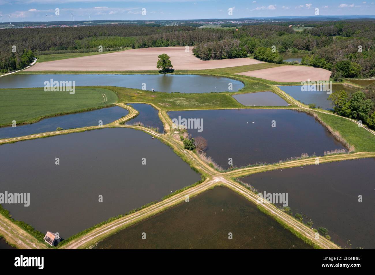 Aquaculture fish ponds hi-res stock photography and images - Alamy