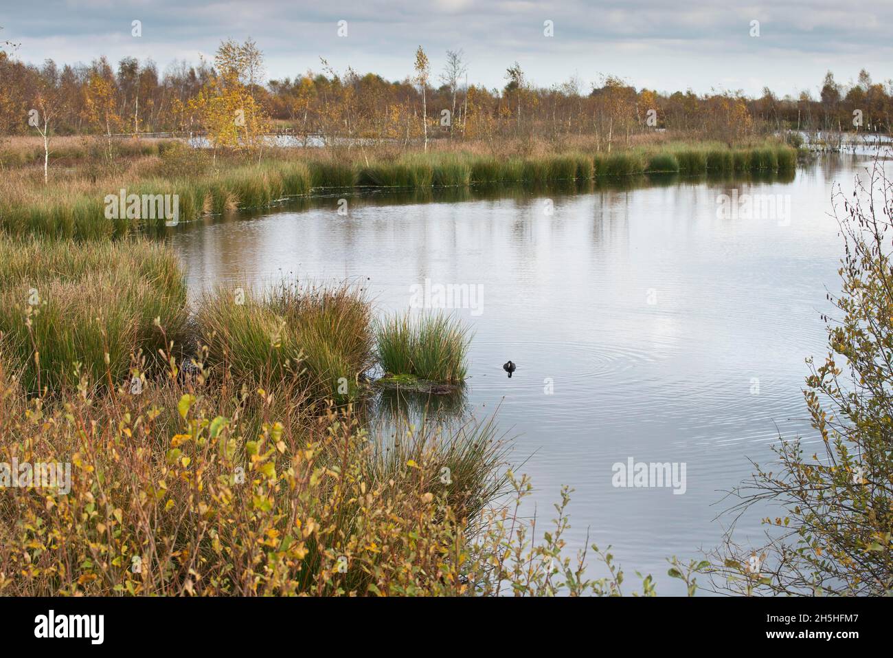 Autumn moorland hi-res stock photography and images - Alamy