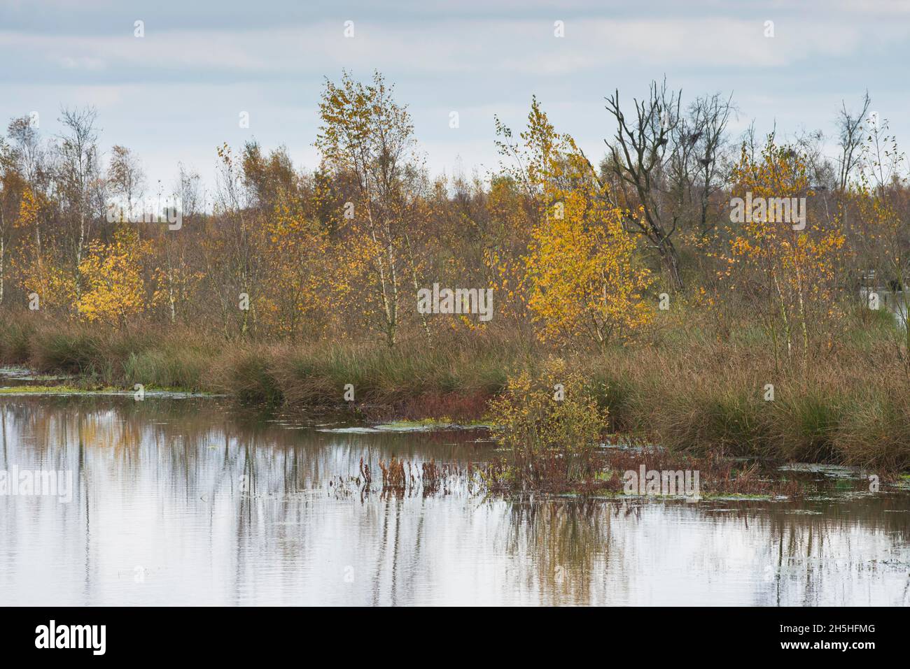 Autumn moorland hi-res stock photography and images - Alamy