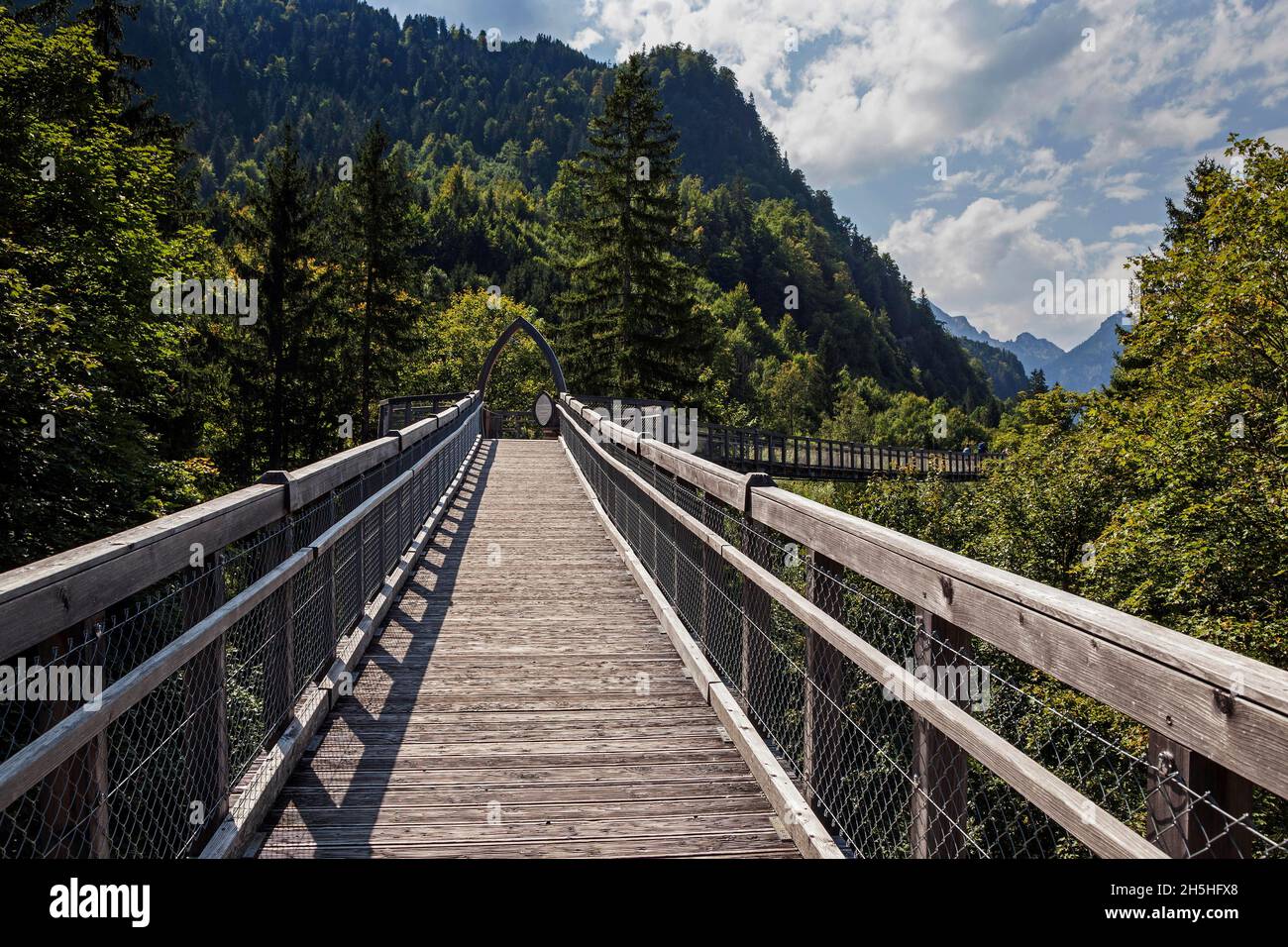 Treetop Path Ziegelwies Forest Adventure Centre Fuessen Ostallgaeu