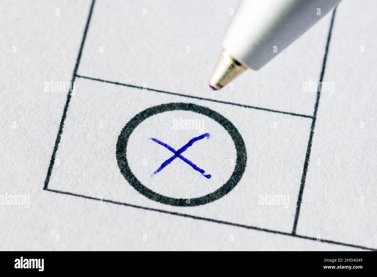 Ballot paper, ballpoint pen, tick box Stock Photo - Alamy