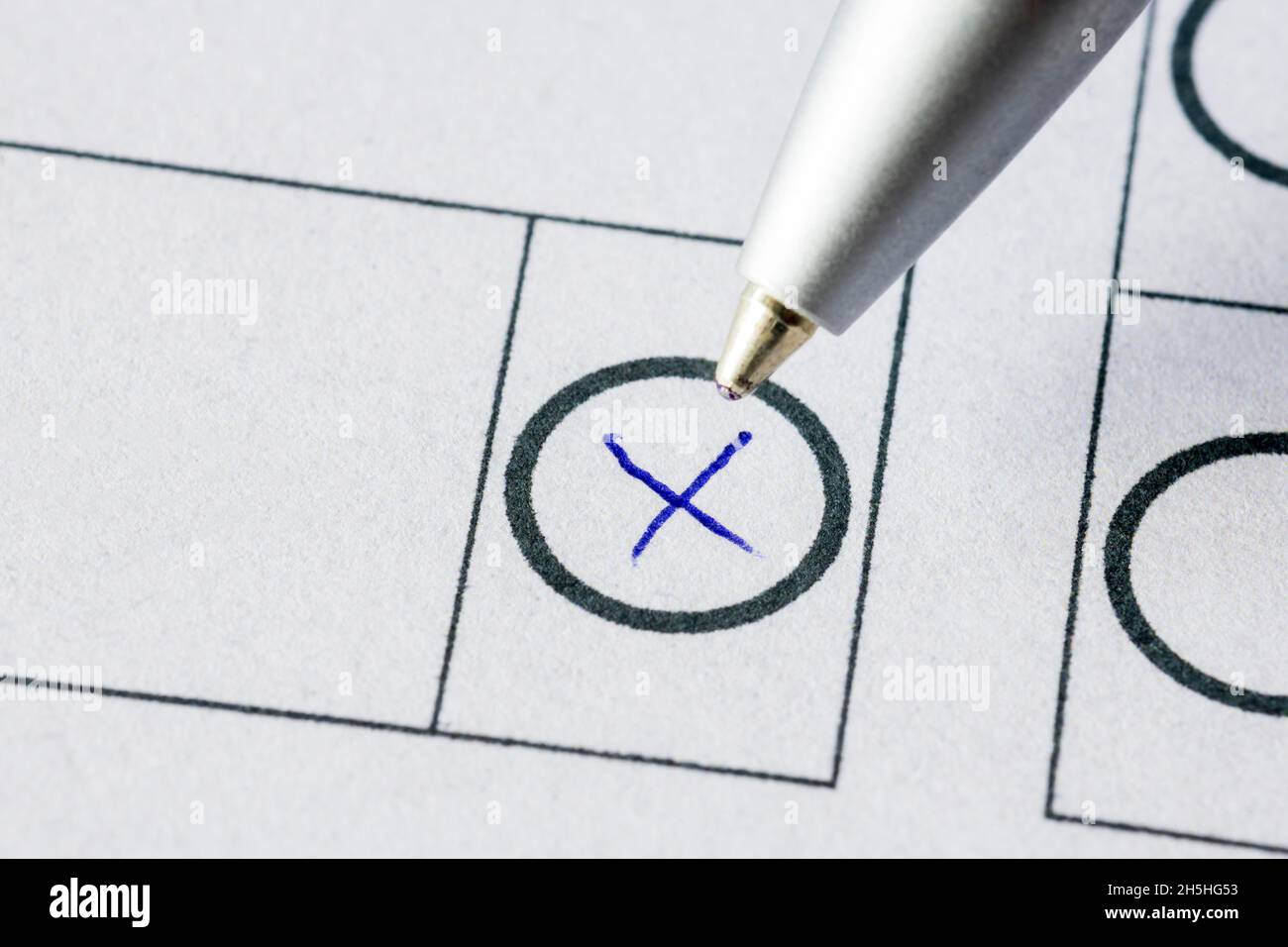 Ballot paper, ballpoint pen, tick box Stock Photo - Alamy