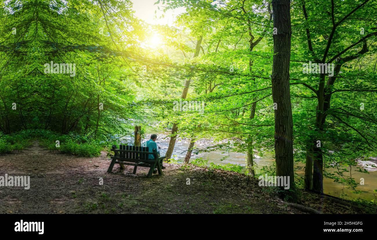 Man sitting on a bench near a river, person sitting on a bench near the ...