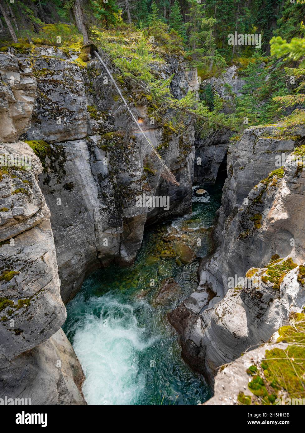 Maligne Canyon, Wild river flows through gorge, Jasper National Park ...