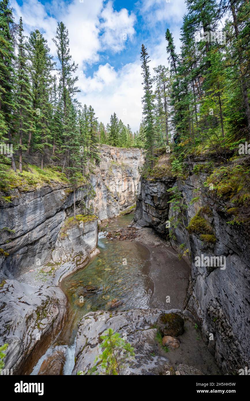 Maligne Canyon, Wild river flows through gorge, Jasper National Park ...
