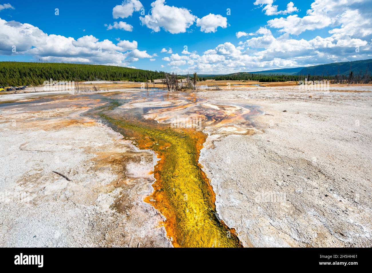 Yellow bacteria and algae in a hot spring at Black Sand Basin and ...