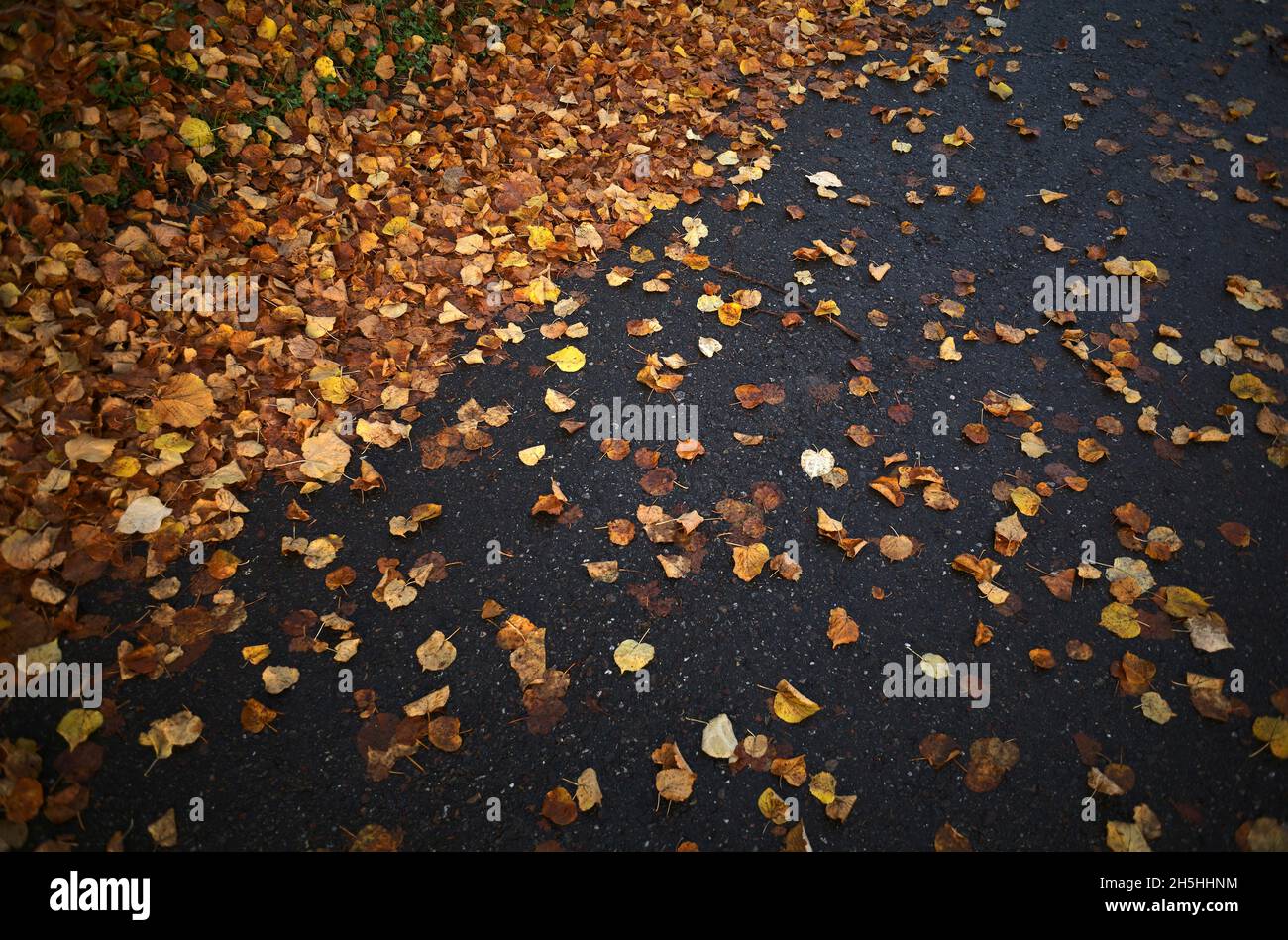 Slipping hi-res stock photography and images - Alamy