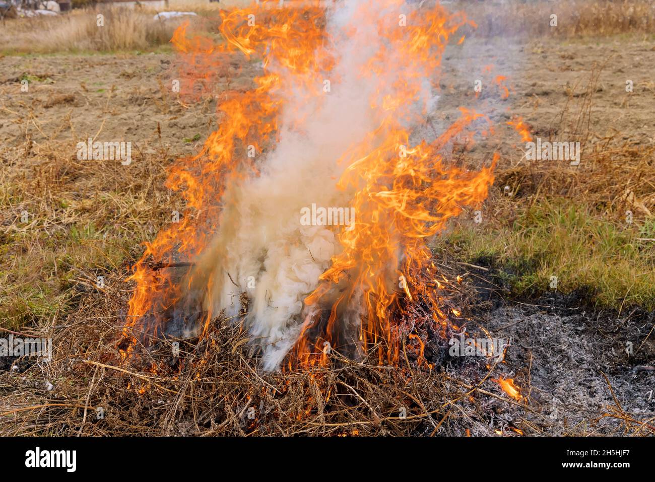 Wildfire burning in countryside hi-res stock photography and images - Alamy