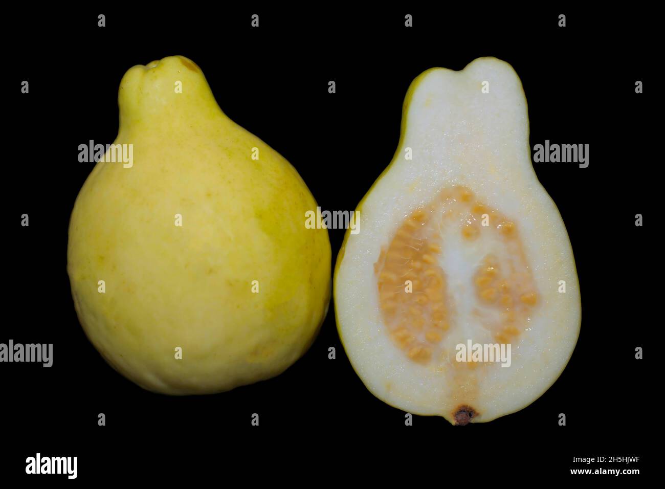 Close-up of a halved and a whole Egyptian guava, studio photography ...