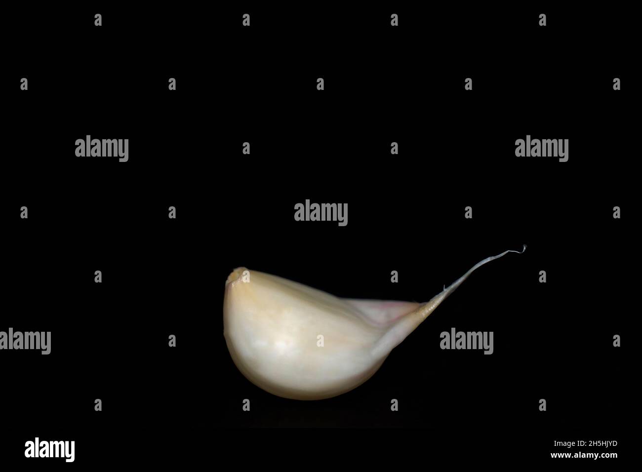 A toe of young garlic, studio photography with black background Stock ...