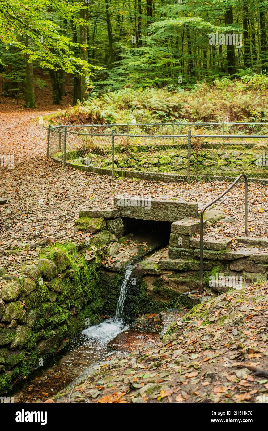 The radium source, an old healthy source in the forest in Tyringe ...