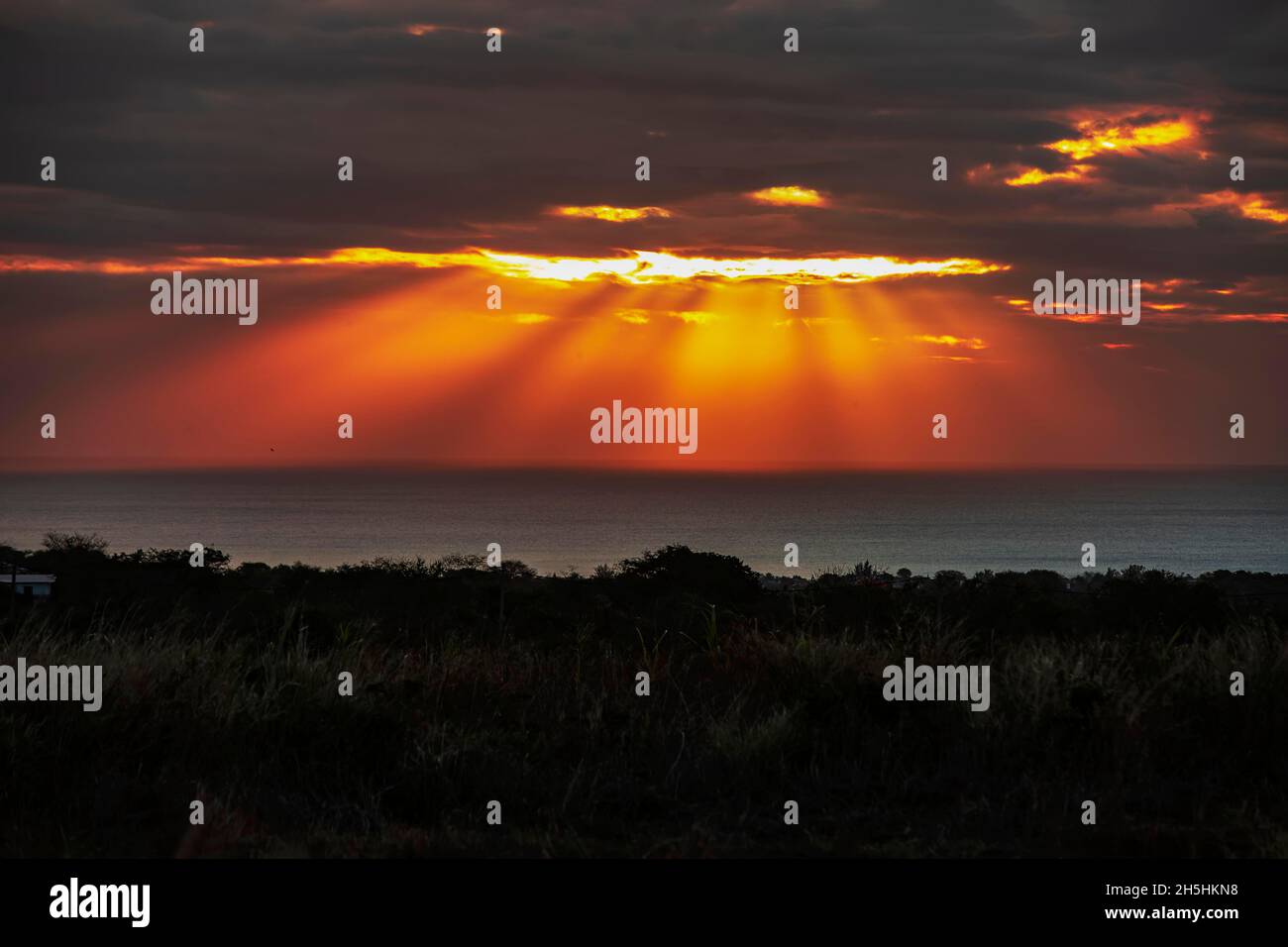 Beau bassin mauritius hi-res stock photography and images - Alamy