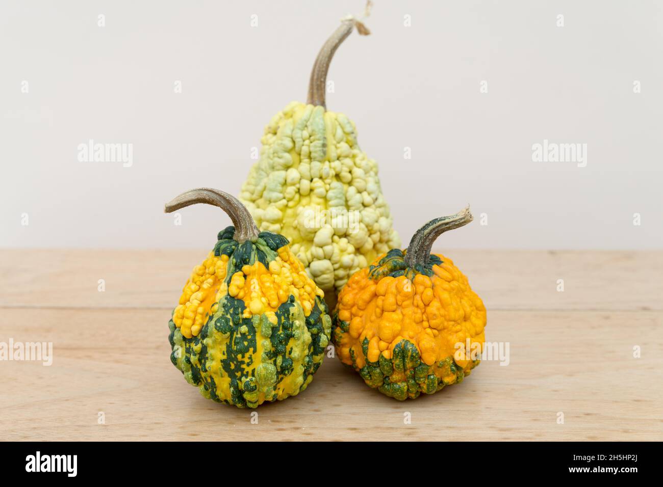 Knobbly vegetables hi-res stock photography and images - Alamy