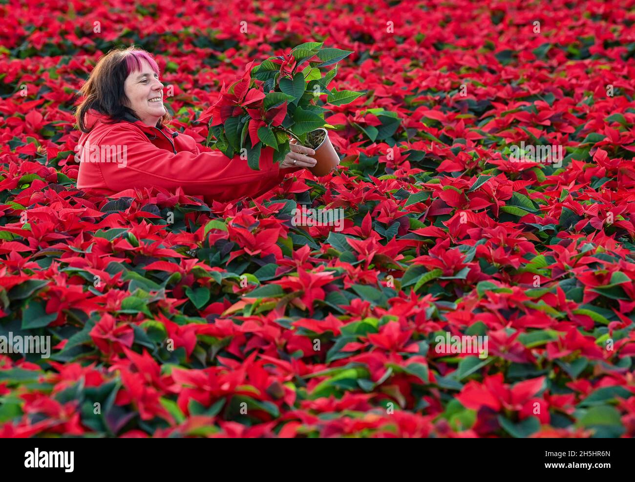 Jutta rohde hi-res stock photography and images - Alamy