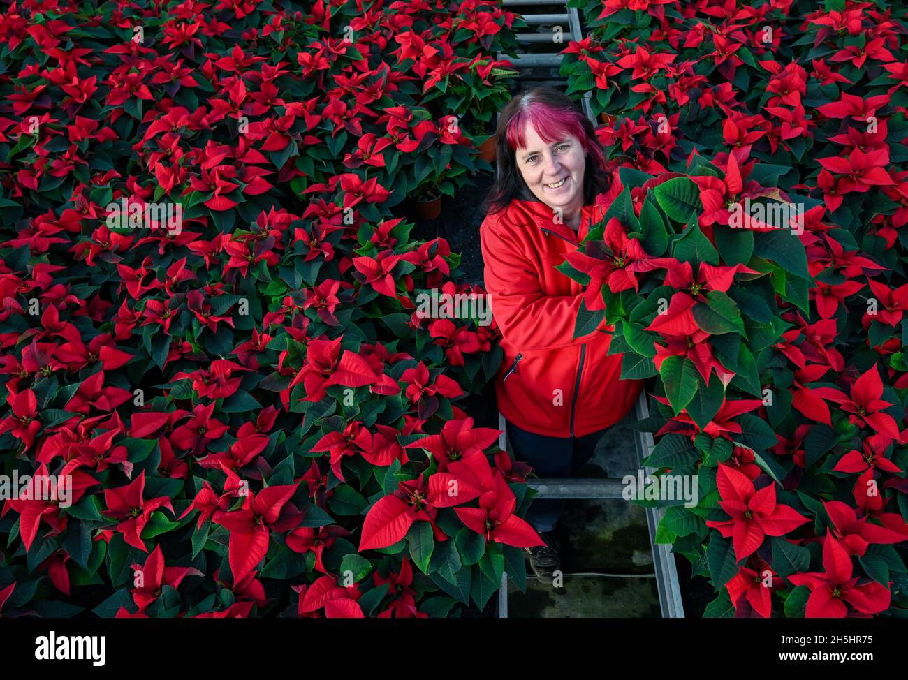 Jutta rohde hi-res stock photography and images - Alamy