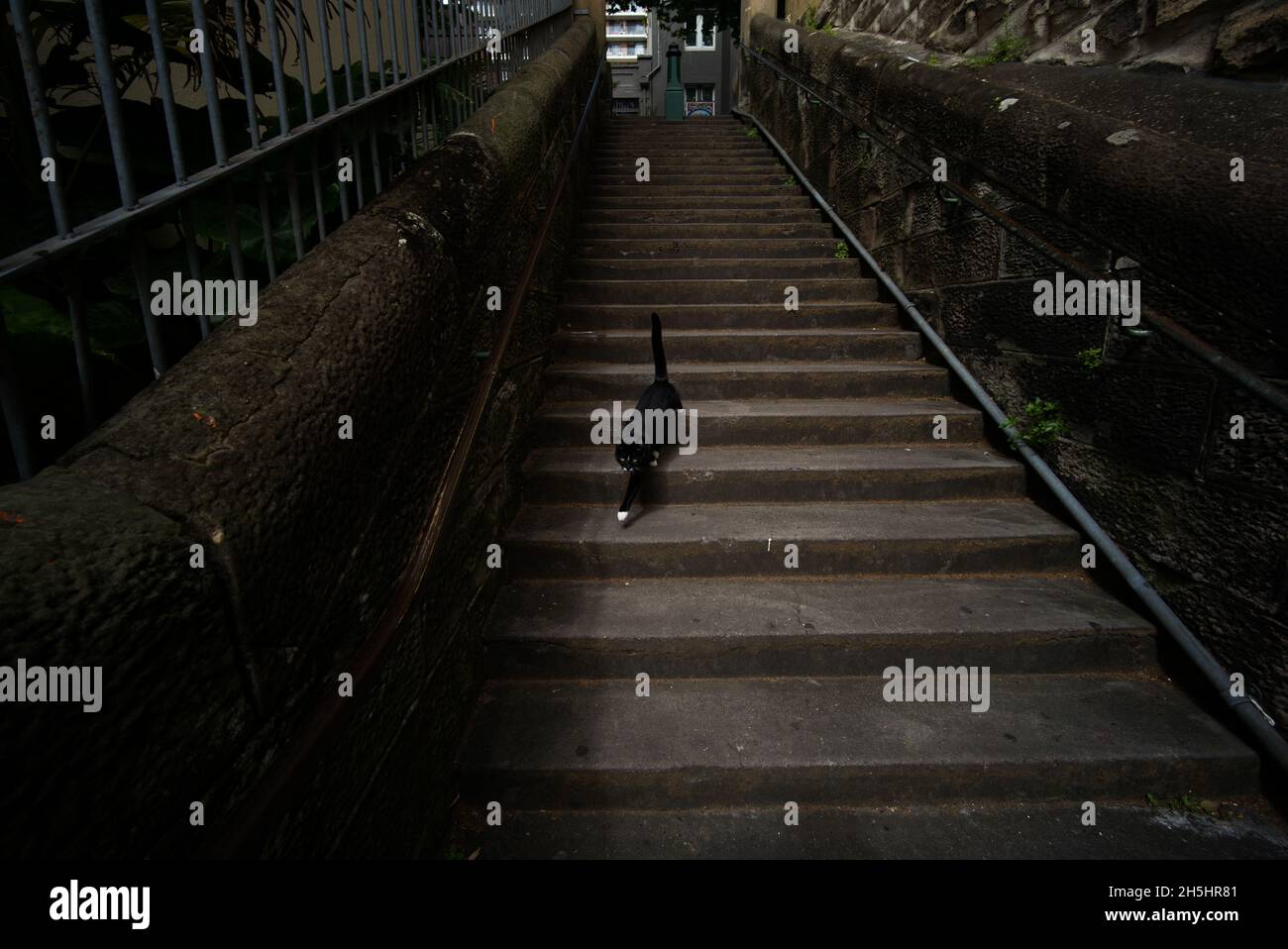 Potts point hi-res stock photography and images - Alamy