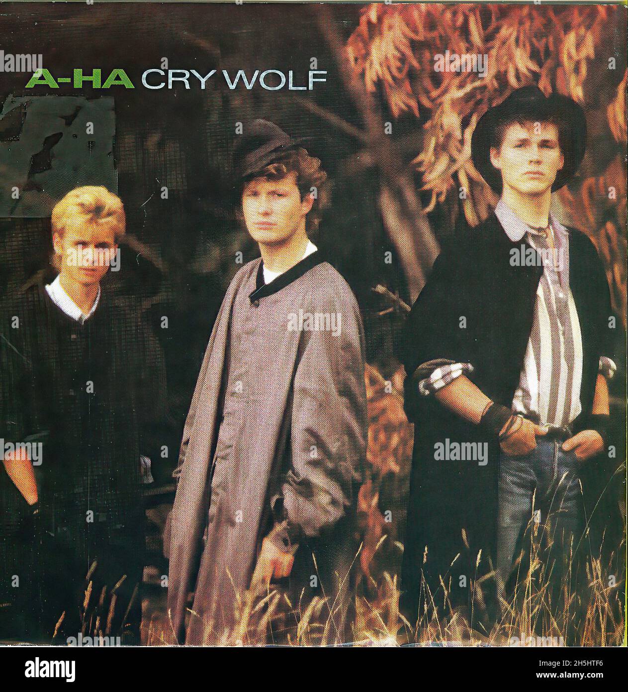 Cry wolf hi-res stock photography and images - Alamy