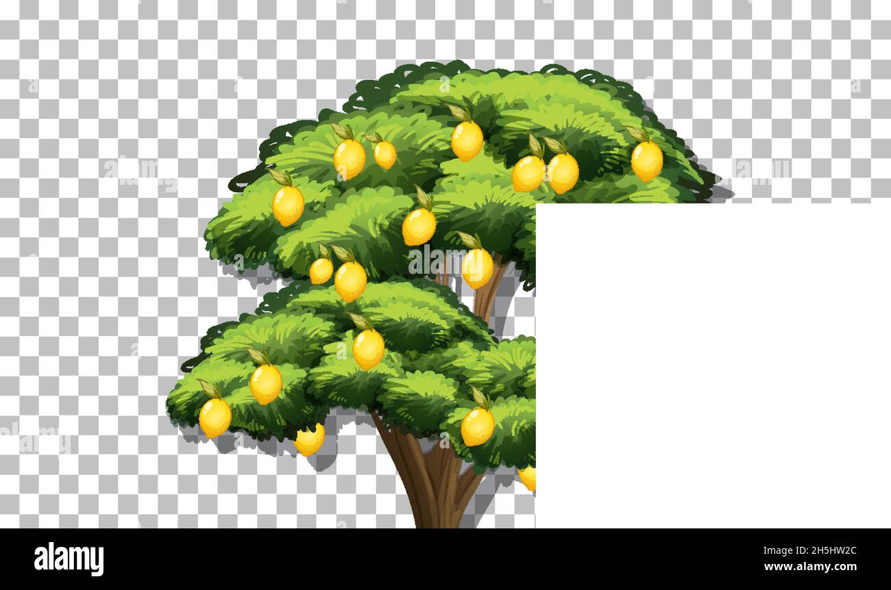 Lemon tree on transparent background illustration Stock Vector Image ...