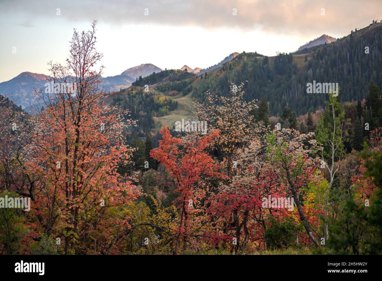 Wasatch mountains aerial hi-res stock photography and images - Alamy
