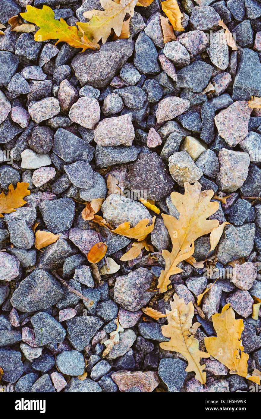 Top view of gravel texture for background with many autumn orange ...