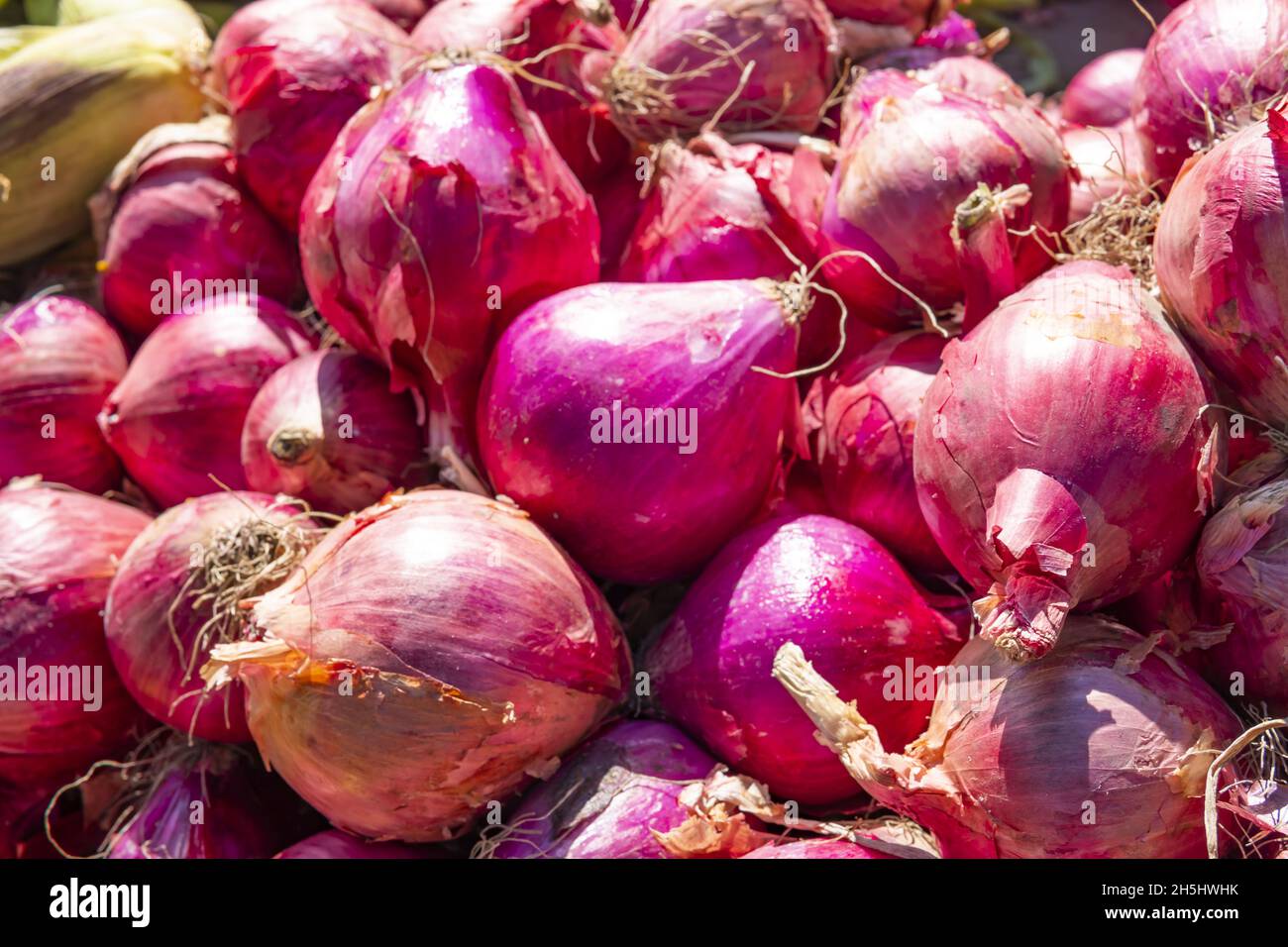 Pile of fresh red onions at an outdoor market Stock Photo - Alamy