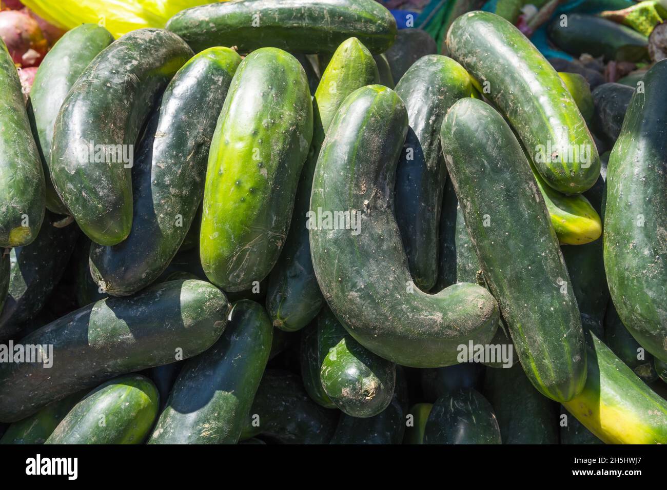 Pile of fresh cucumbers at an outdoor market Stock Photo - Alamy