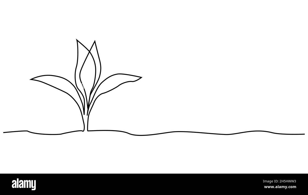 Plant Sprout Drawing