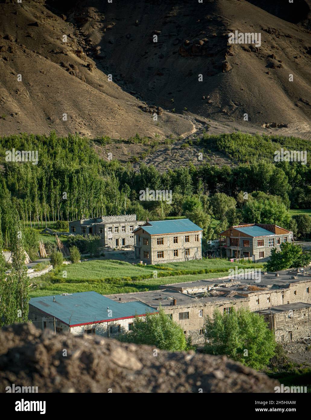 Vertical shot of houses surrounded by forests and mountains in Kargil ...