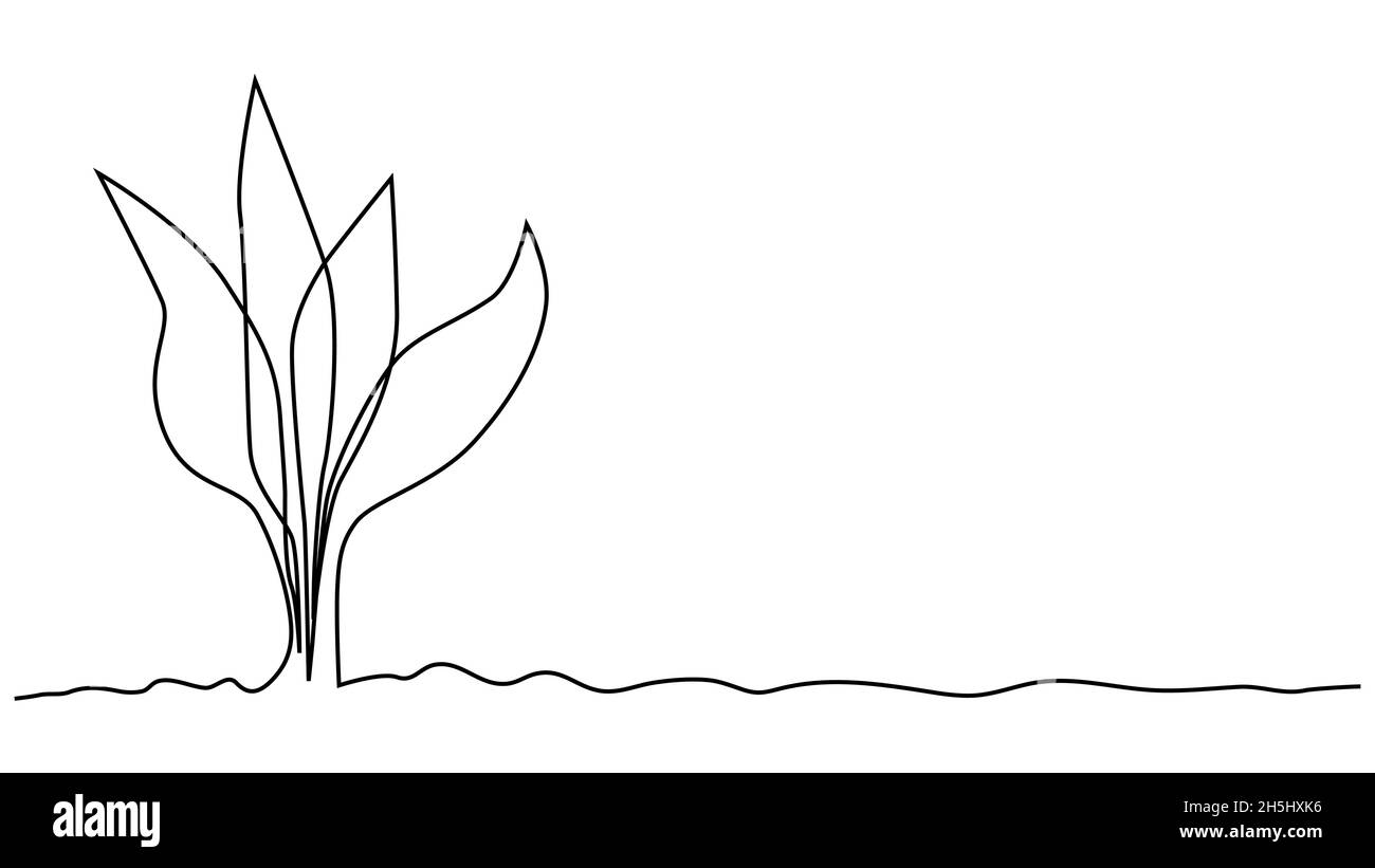 Single continuous line art growing sprout. Plant leaves seed grow soil ...