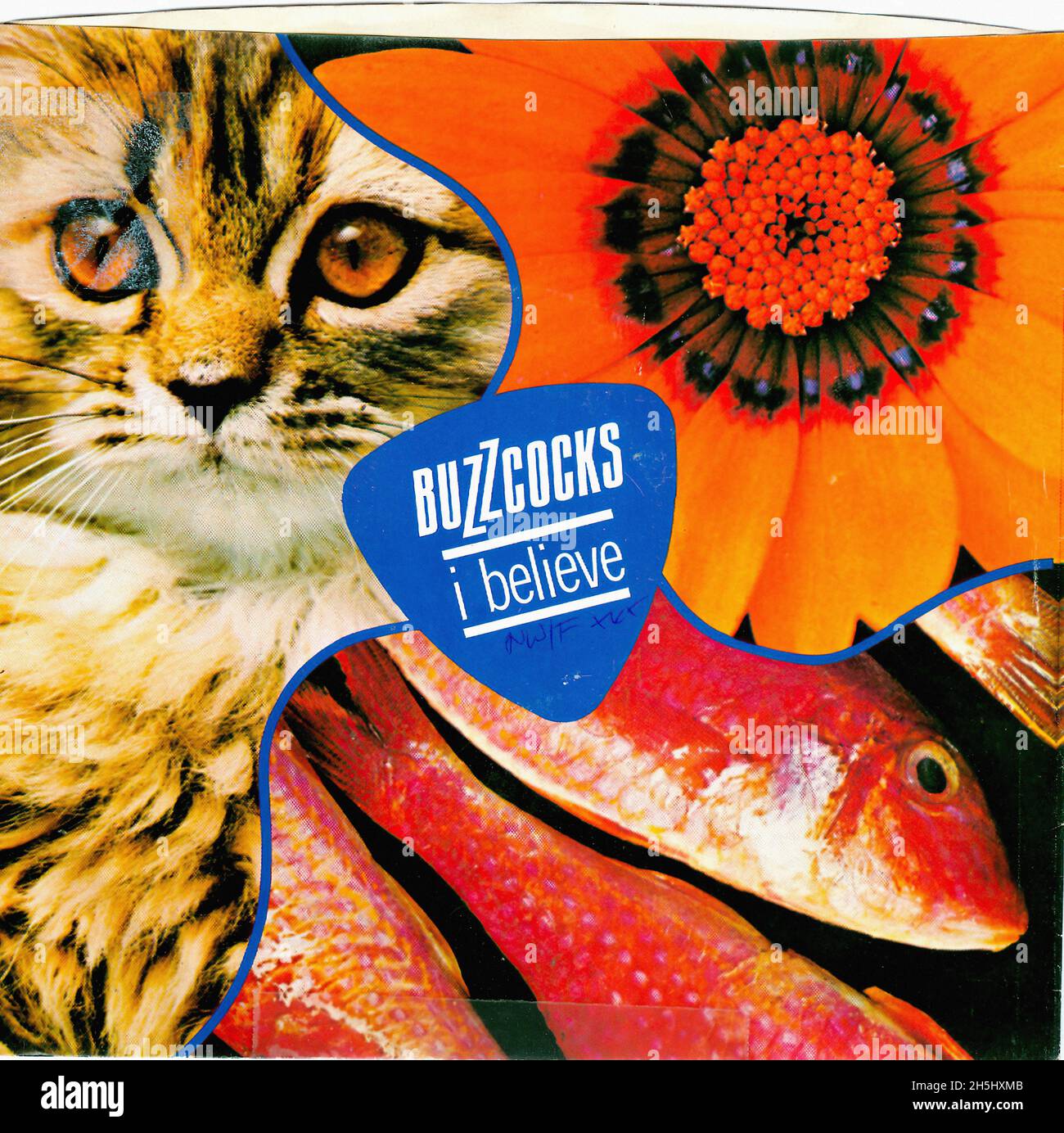 The buzzcocks 1979 hi-res stock photography and images - Alamy