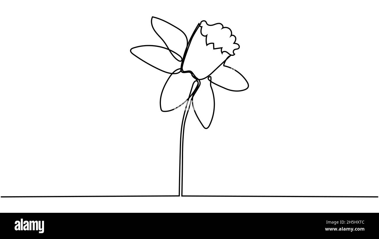 One single line drawing of beauty fresh narcissus for garden. Printable ...
