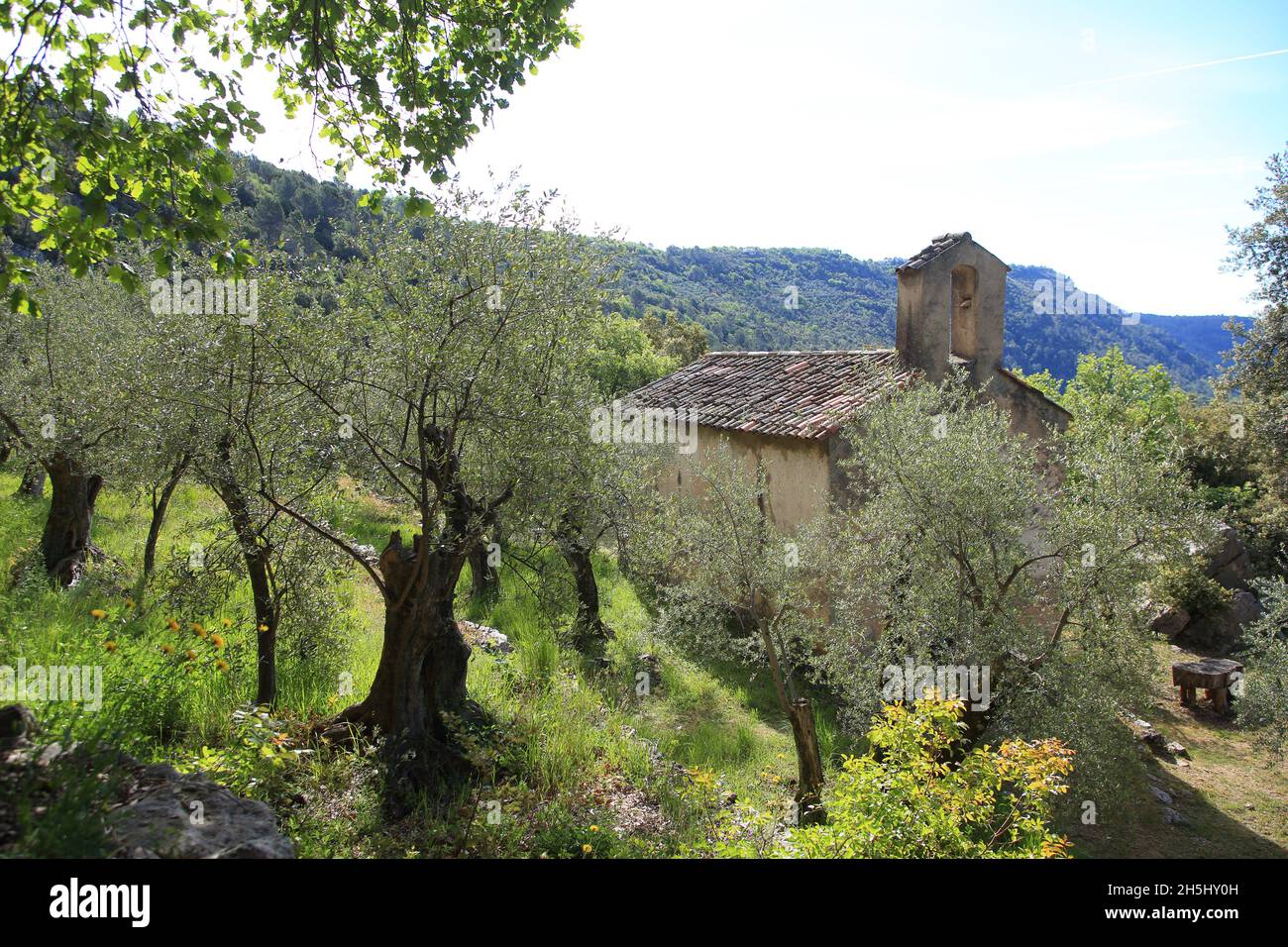Litttle Provence chapel into olive tree field, Alpes Maritimes, Cote d ...