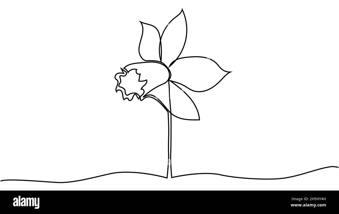 One single line drawing of beauty fresh narcissus for garden. Printable ...