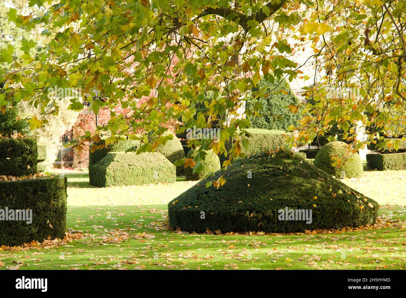 Hall Place and Gardens, Bexley,Kent, Britain. November 2021. Autumn ...