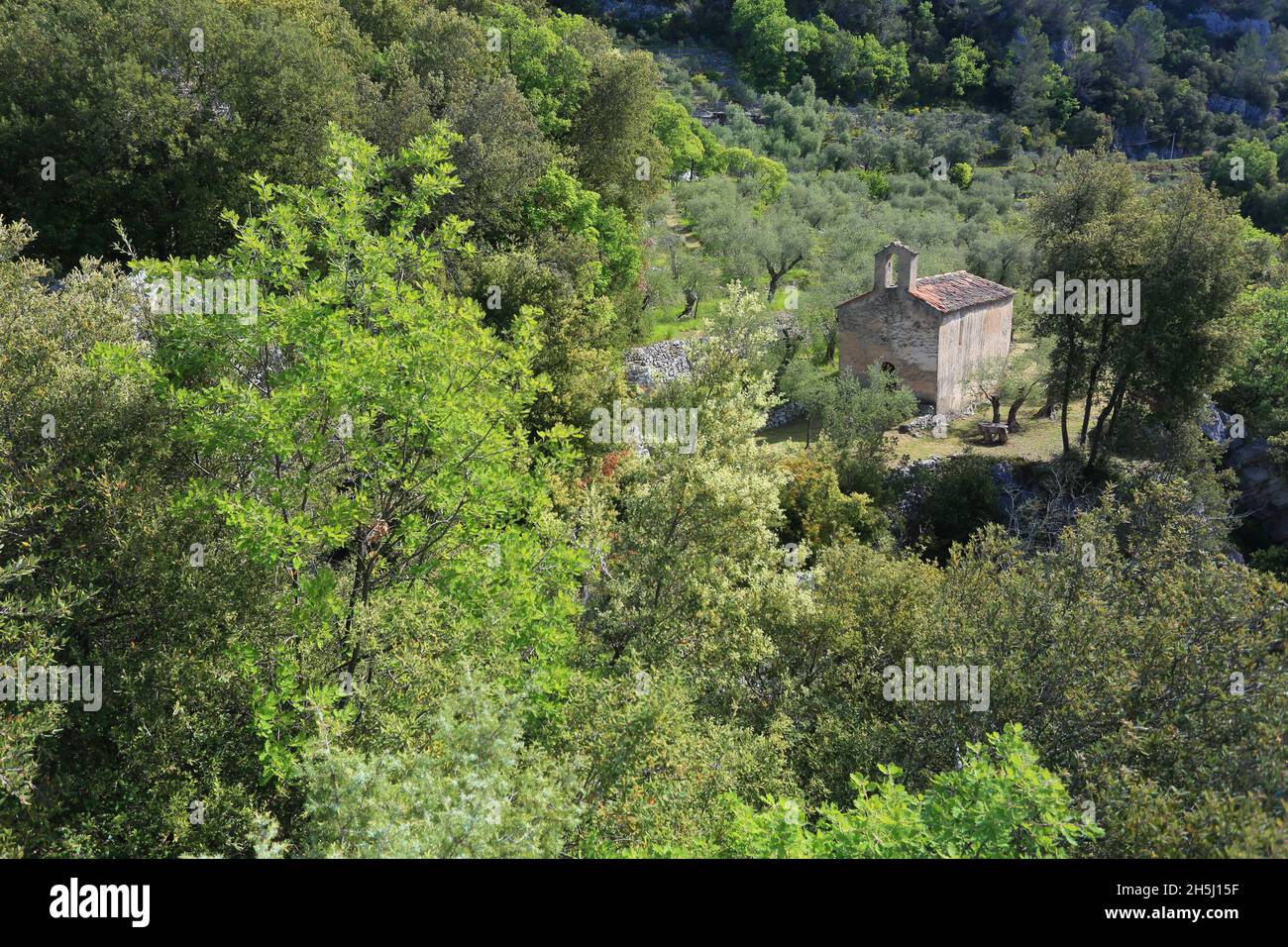 Litttle Provence chapel into olive tree field, Alpes Maritimes, Cote d ...