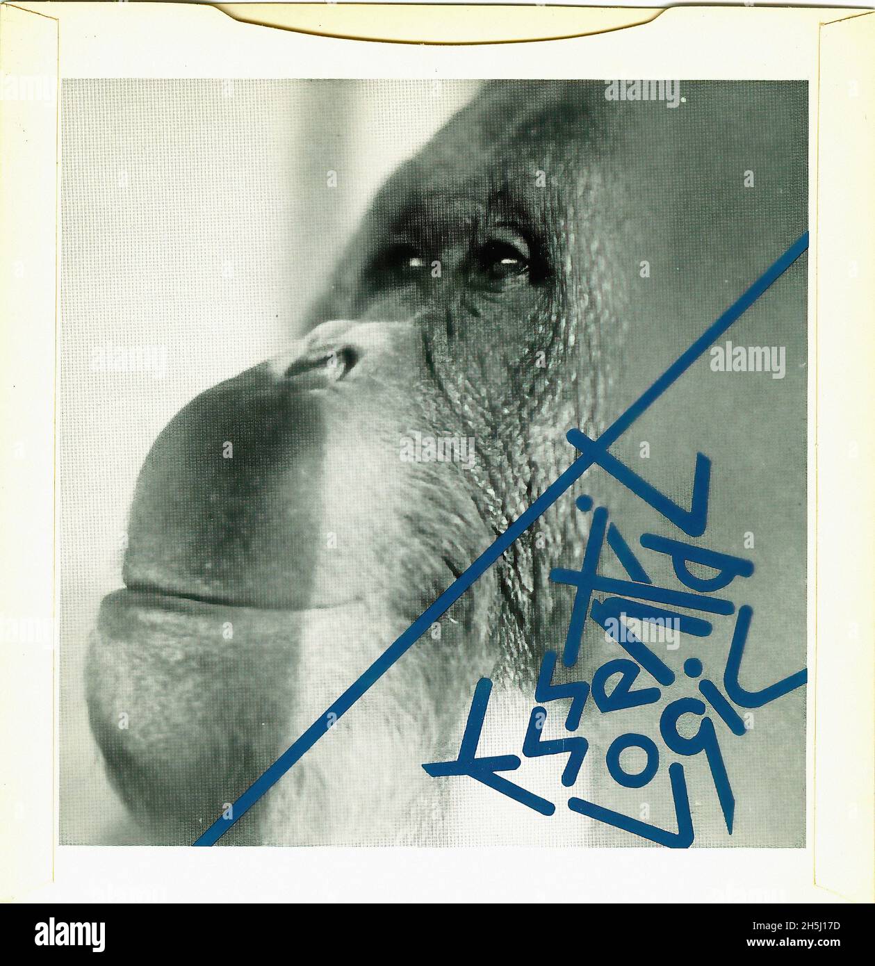 Essential logic hi-res stock photography and images - Alamy