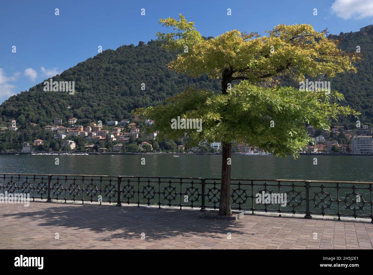 Walking path with metal railing and tree at lake Como, Como, Italy ...