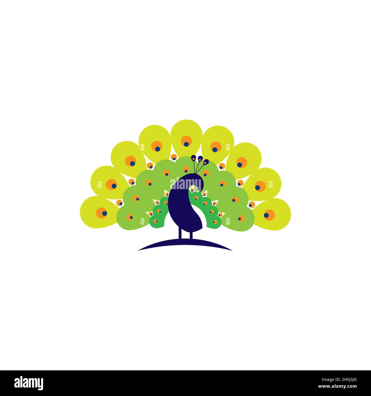 Stylized peacock tail Stock Vector Images - Alamy