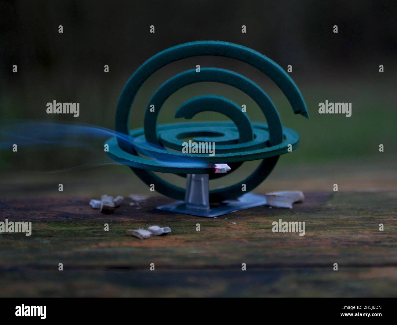 Burning of the mosquito coil in nature, close up and blurred. Mosquito ...