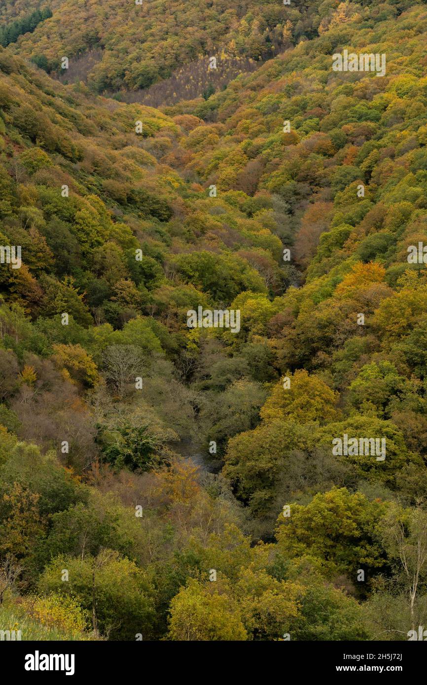 2021 fall foliage hi-res stock photography and images - Alamy