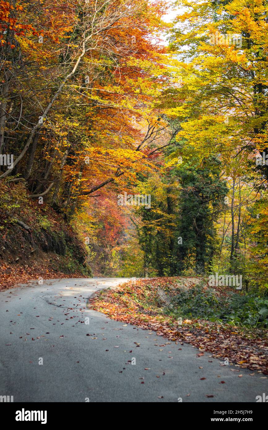 Mornings with nature hi-res stock photography and images - Alamy